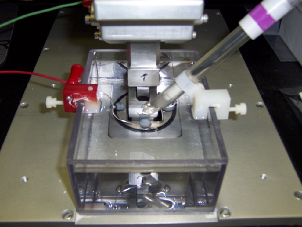RSL Testing for Rapid Environmentally Assisted Cracking Analysis